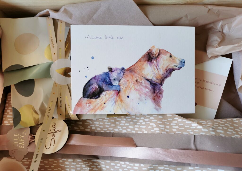 The Ultimate box - Baby box designs